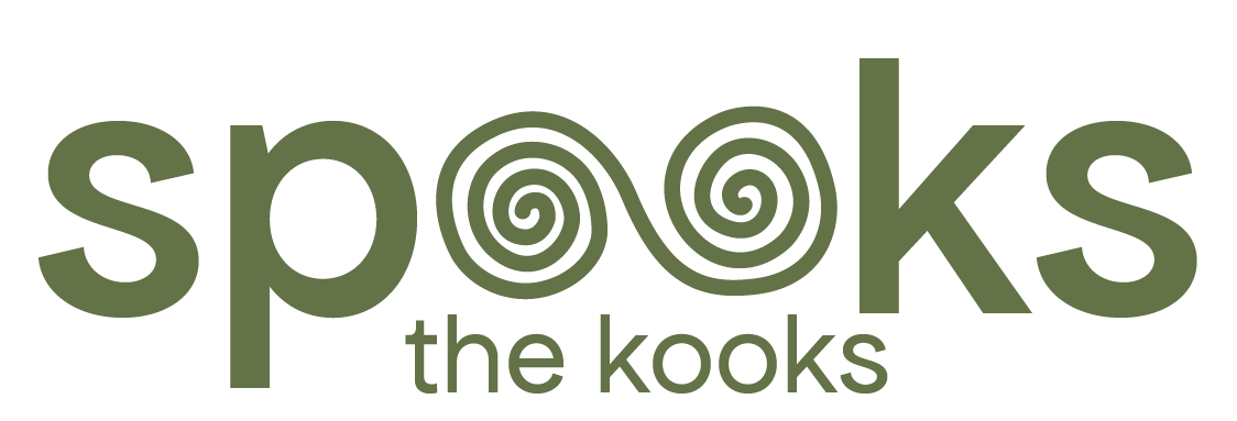 Spooks The Kooks